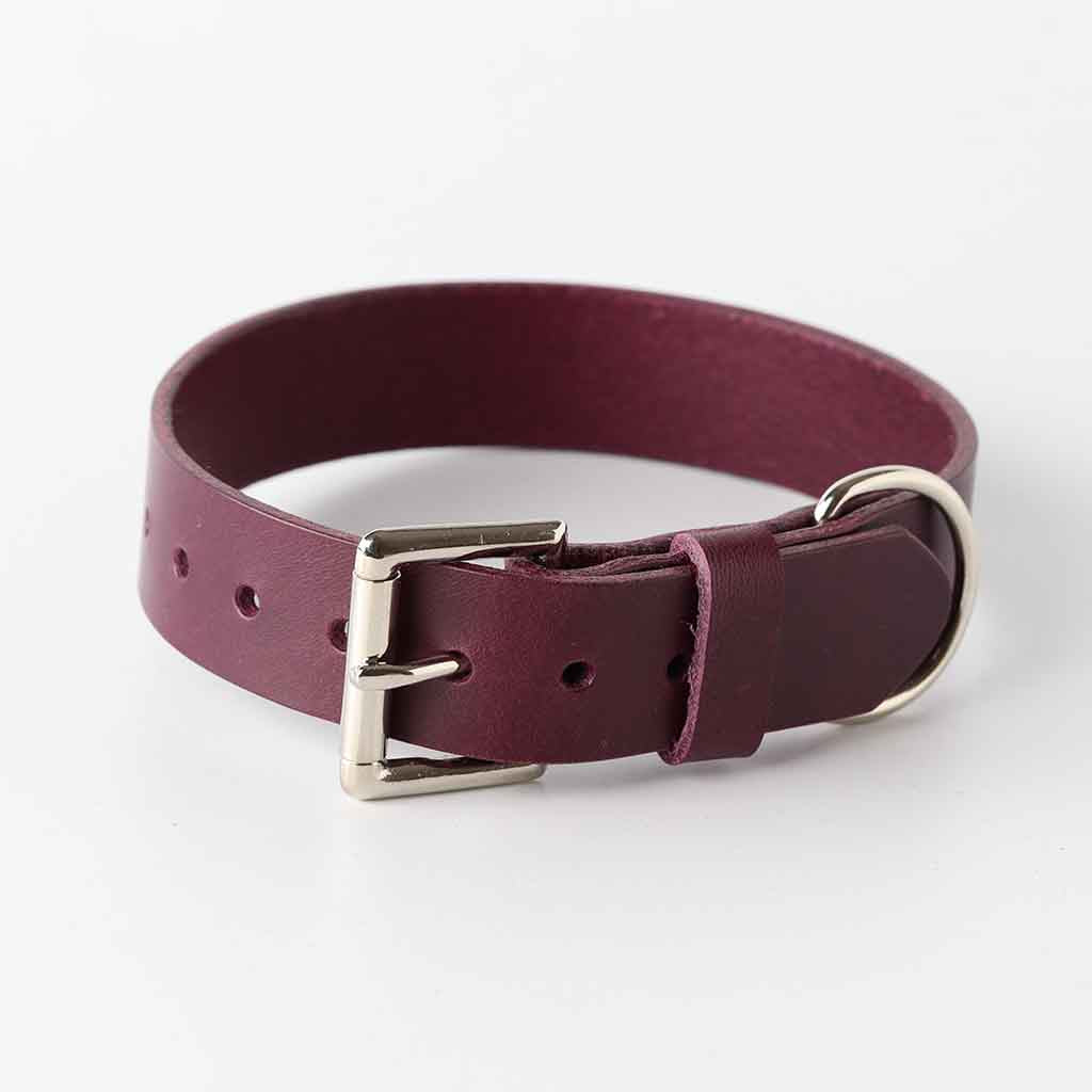 Soft Leather Purple Dog Collar for Puppies / Kaseta